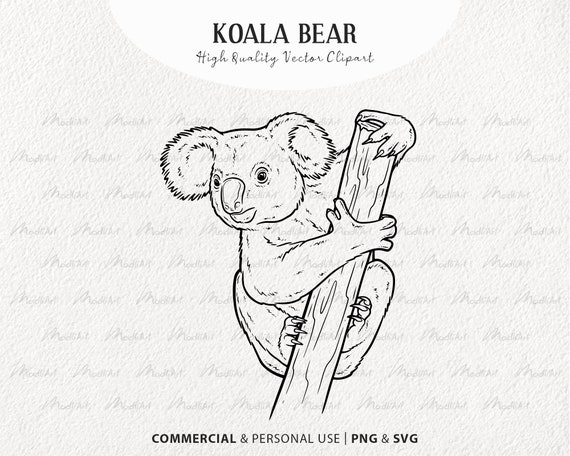 Koala Bear Line Drawing
