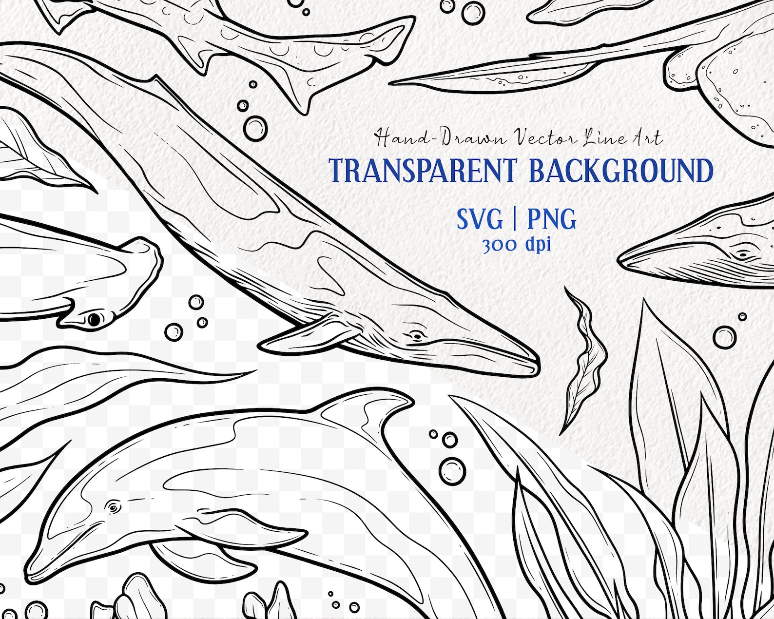 40 Ocean Animals Clipart Bundle. Sea Animals Vector Line Art ...