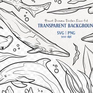 40 Ocean Animals Clipart Bundle. Sea Animals Vector Line Art ...