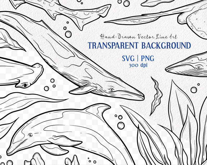 40 Ocean Animals Clipart Bundle. Sea Animals Vector Line Art ...