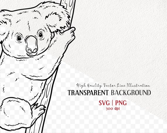 Koala Bear Outline Koala Outline Vector Images | Depositphotos