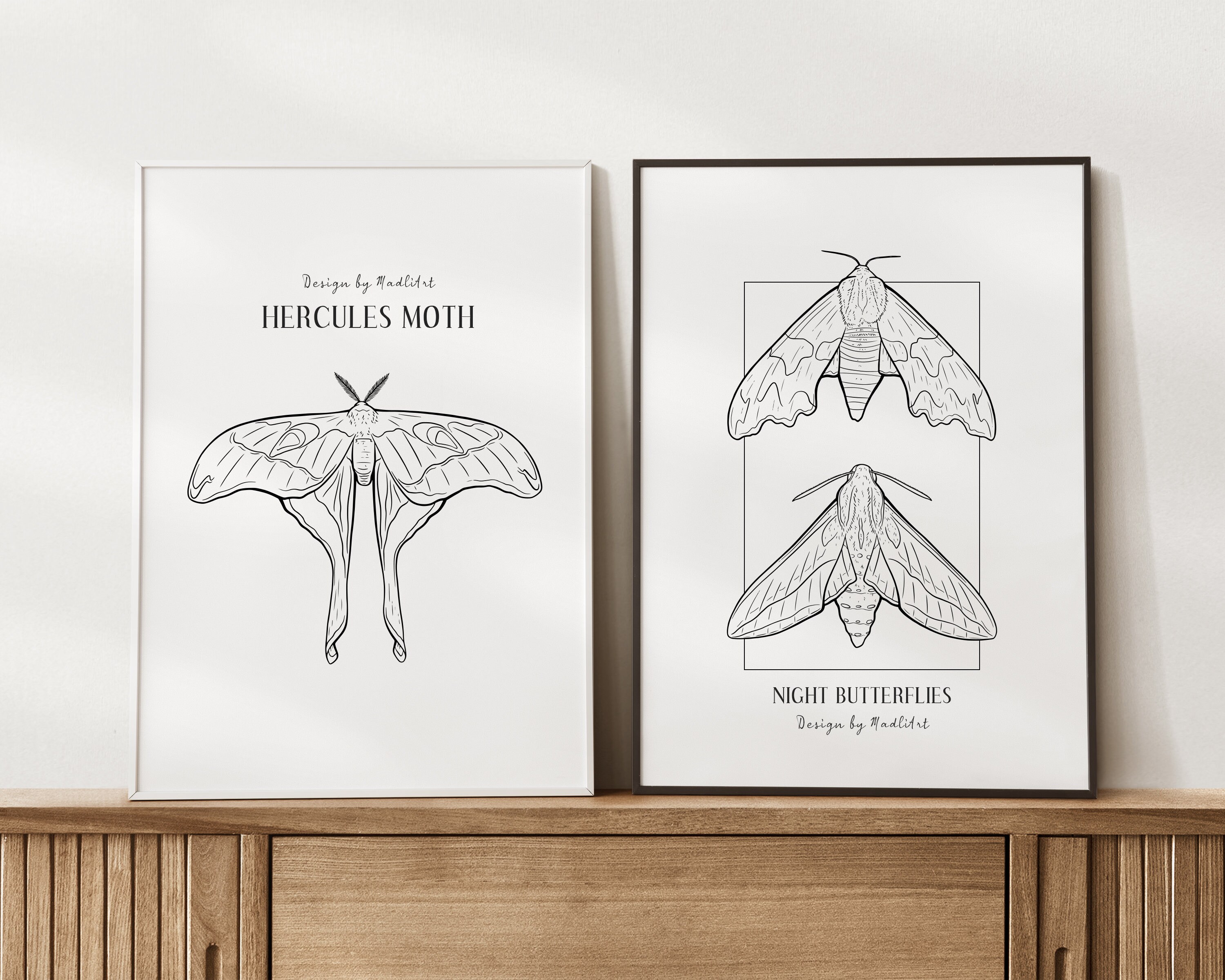 Hercules Moth SVG Clip Art. Hand Drawn Butterfly Vector Line Drawing ...
