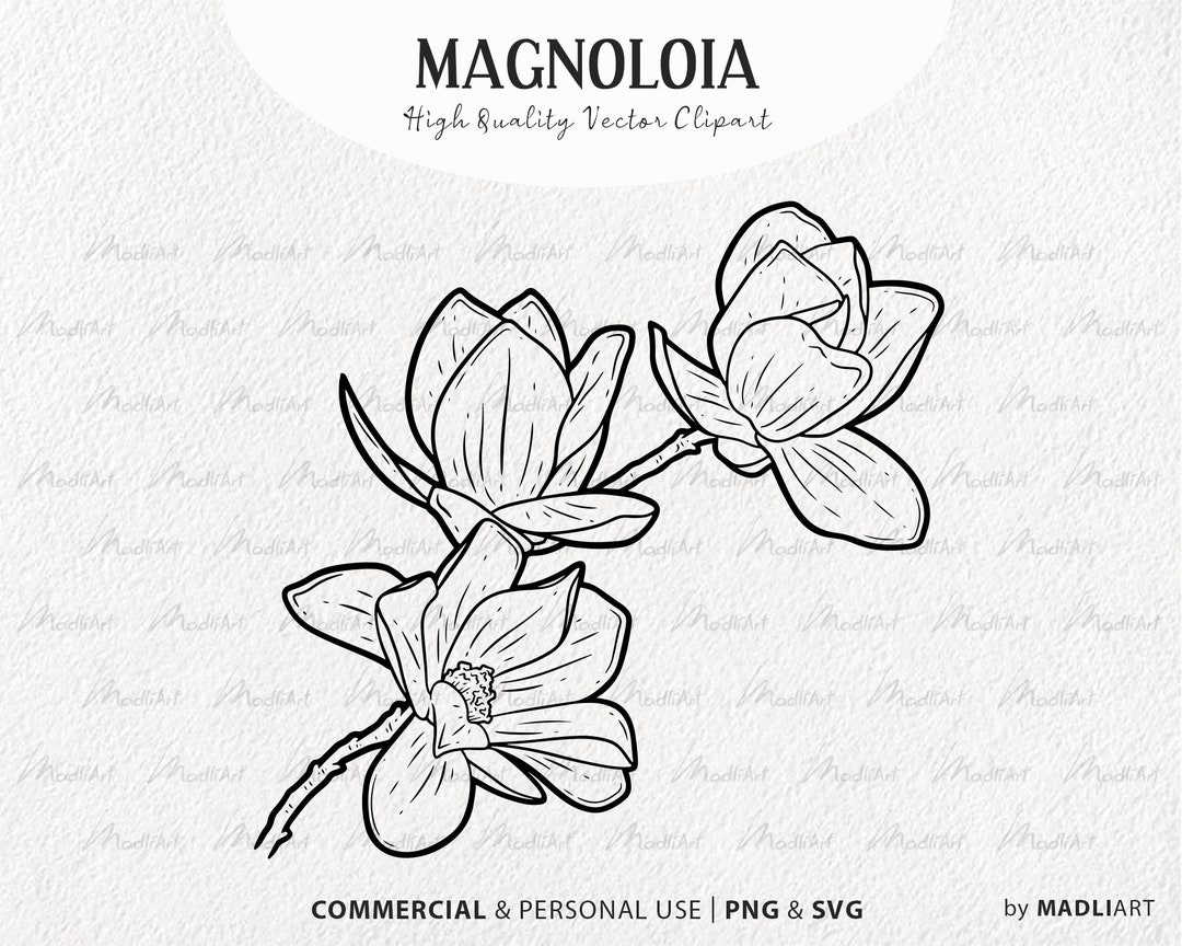 Magnolia SVG Clipart. Magnolia Blossom Vector Illustration. Magnolia ...