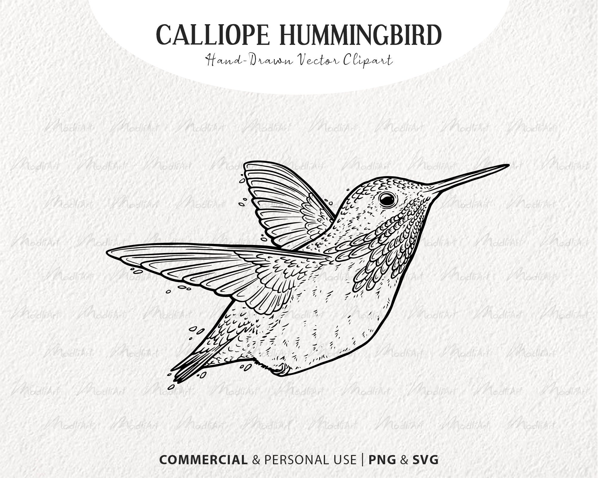 Calliope Hummingbird SVG Clipart. Hummingbird Vector Line Art. Flying ...