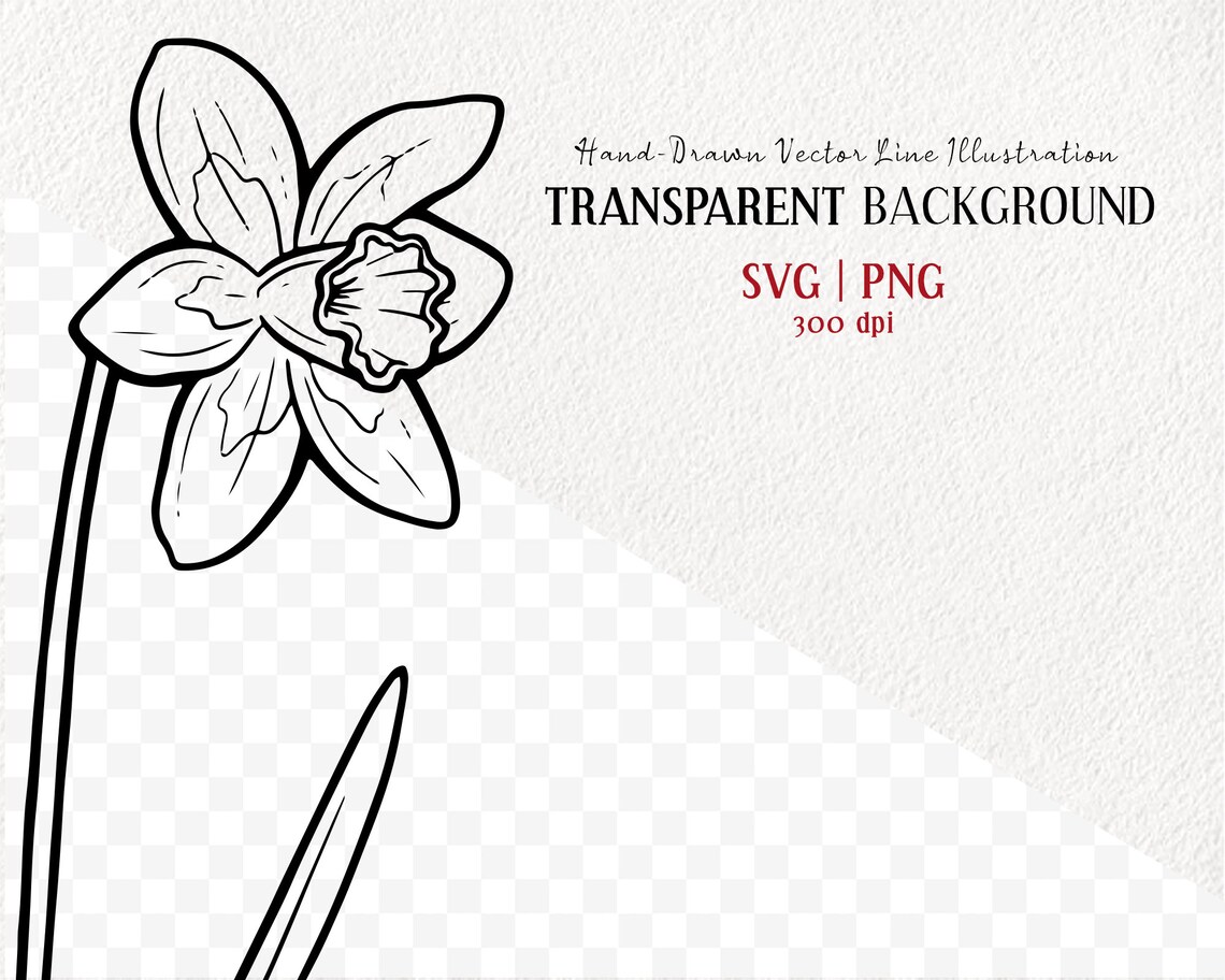 Daffodil Flower Vector Clipart Bundle. Spring Flower SVG - Etsy