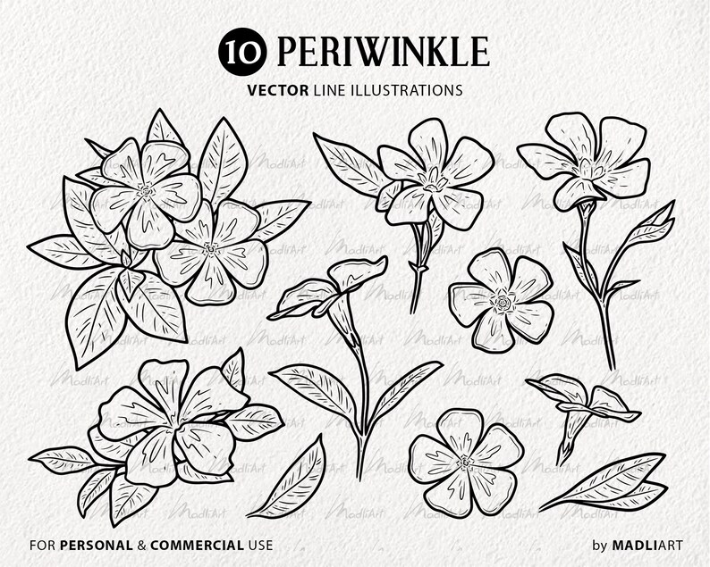 10 Periwinkle SVG Clipart Bundle. Spring Flower Blossoms. Periwinkle ...