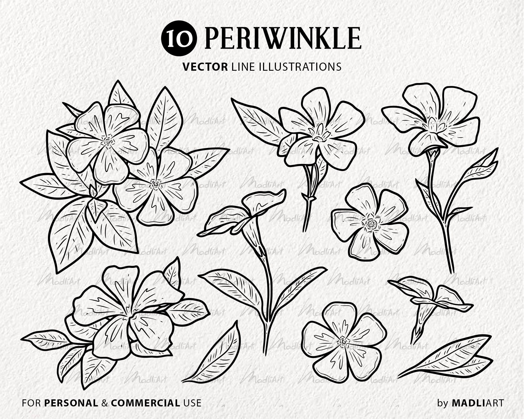10 Periwinkle SVG Clipart Bundle. Spring Flower Blossoms. Periwinkle ...