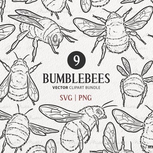 Bee SVG Clipart Bundle. Bumblebee Svg Outline Stamps. Honey Bee Vector ...