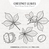 Small Leaves SVG Clipart Bundle. 8 Vector Spring Leaves. Botanical Line ...