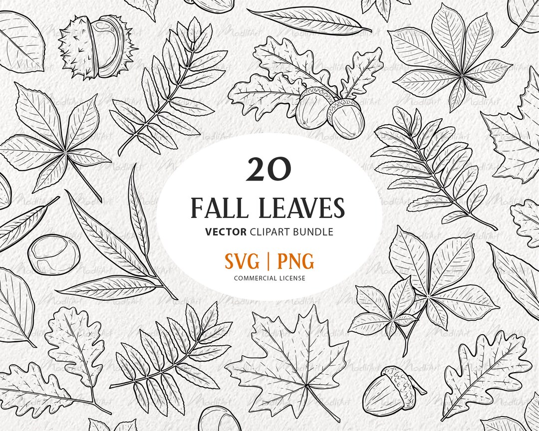Fall Leaves SVG Clipart Bundle. 20 Vector Autumn Outlines. - Etsy