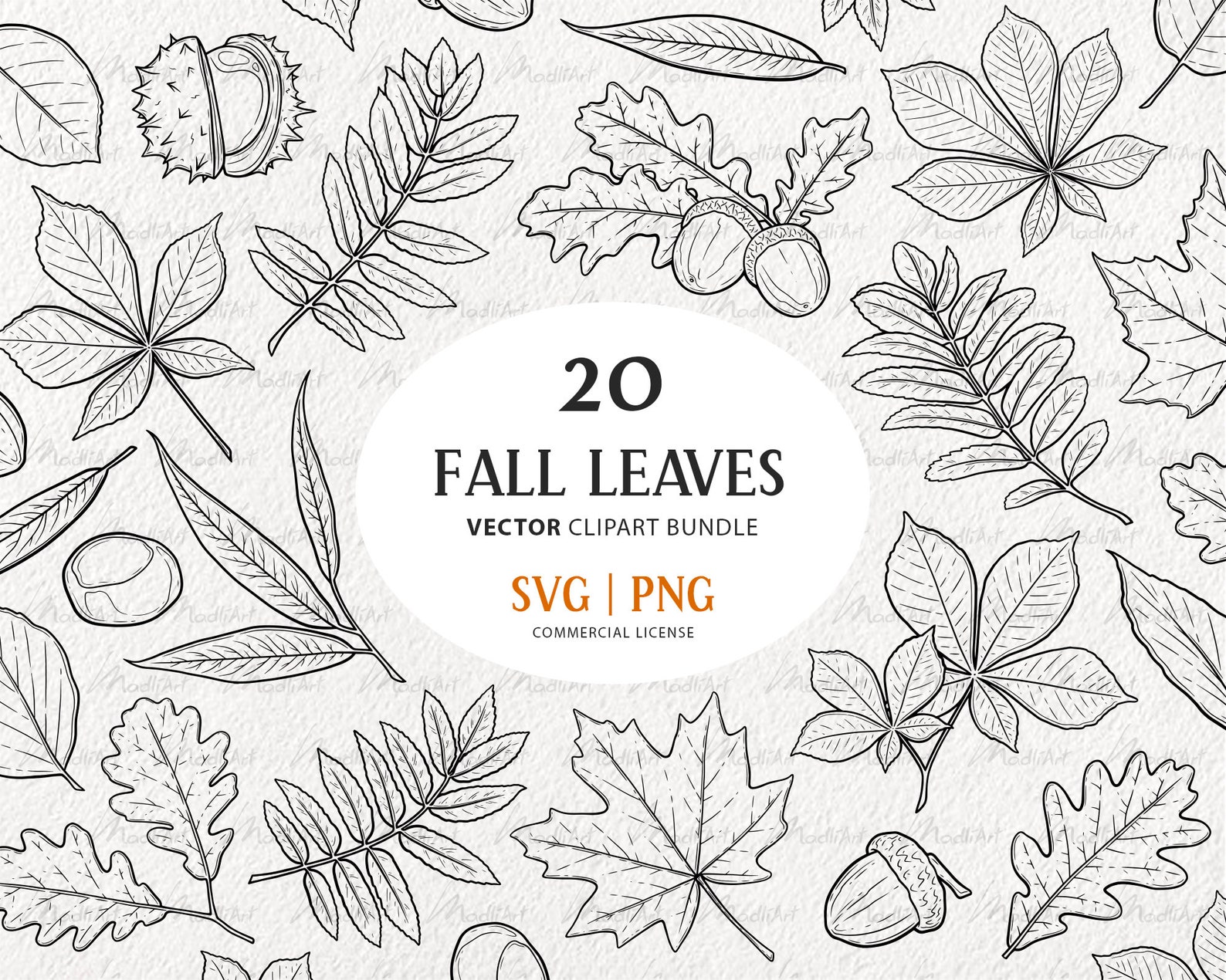 Fall Leaves SVG Clipart Bundle. 20 Vector Autumn Outlines. - Etsy