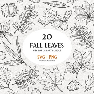 Fall Leaves SVG Clipart Bundle. 20 Vector Autumn Outlines. - Etsy