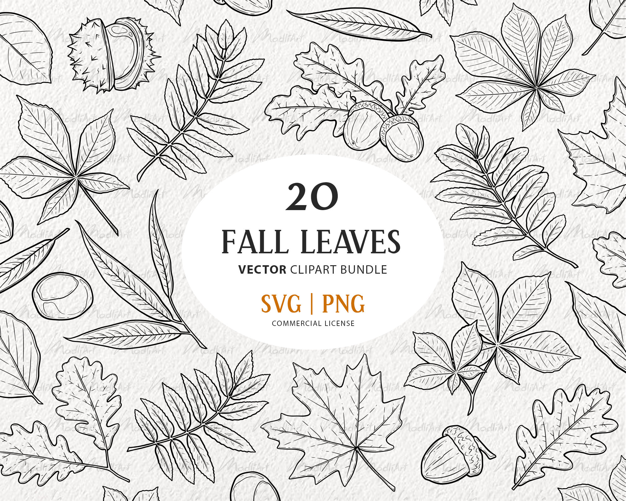 Fall Leaves SVG Clipart Bundle. 20 Vector Autumn Outlines. - Etsy