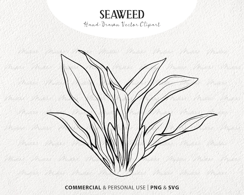 Seaweed SVG Clipart. Ocean Plant Vector Line Art. Coral Reef ...