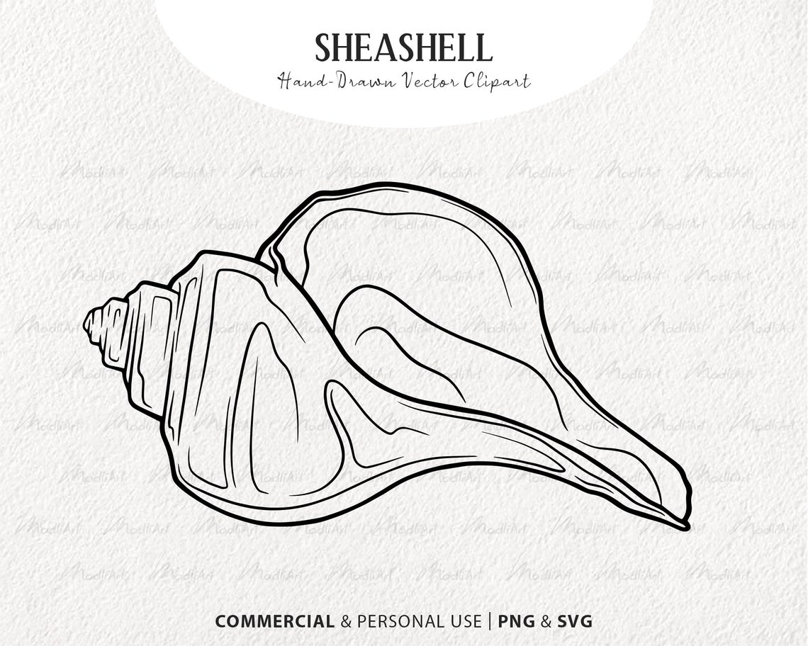 Seashell SVG Clipart. Ocean Themed Vector Line Drawing. - Etsy