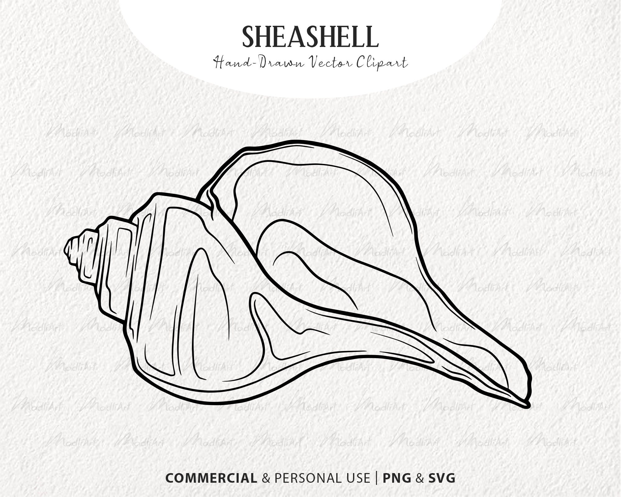 Seashell SVG Clipart. Ocean Themed Vector Line Drawing. Nautical Ocean ...