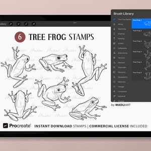 6 Procreate Tree Frog Stamps. Frog Tattoo Design. Green Tree Frog, Red-eyed Frog Outline ...