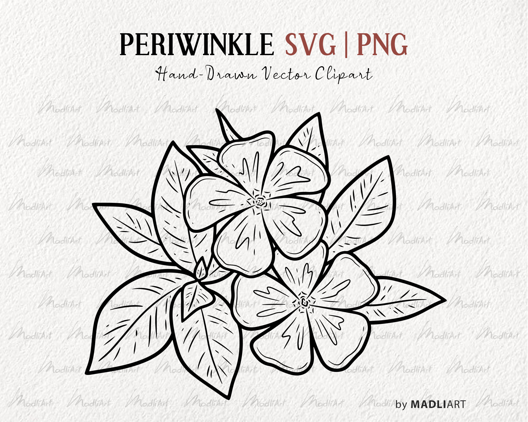 Periwinkle SVG Clipart. Spring Flower Blossom. Periwinkle Vector Drawing. Wildflower Periwinkle ...