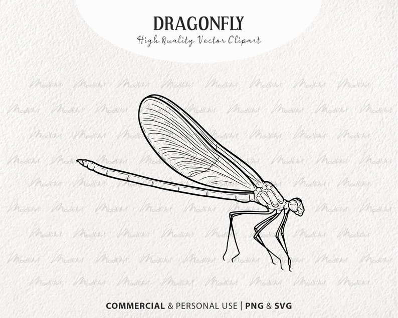 Dragonfly Vector Clipart. Dragonfly Outline Stamps. Damselfly Line ...