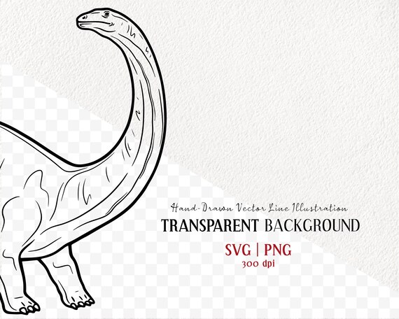 Brontosaurus Clipart Black And White