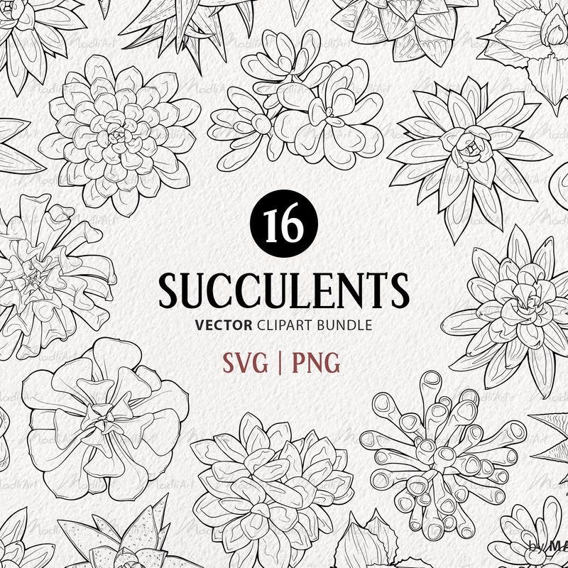 Succulent Svg - Etsy