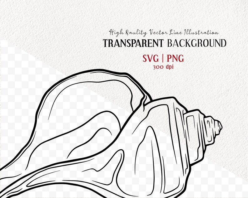 Seashell SVG Clipart. Ocean Themed Vector Line Drawing. - Etsy