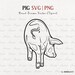Pig SVG Clipart. Farm Animal Vector Line Art. Cute Piglet Drawing. Pig ...