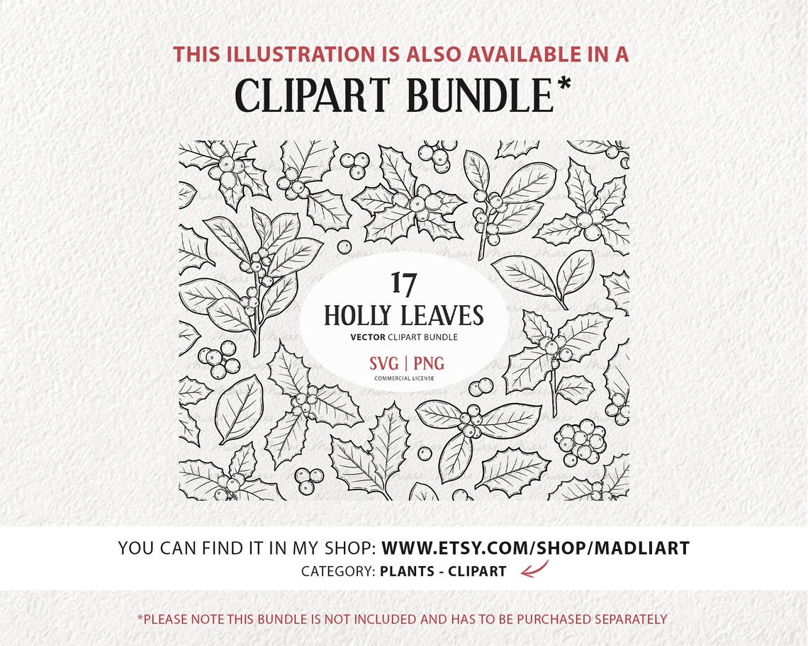 Christmas Holly Clipart Set. Mistletoe Vector Leaves. Xmas Line ...