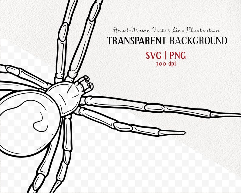 Black Widow Spider Vector Clip Art. Digital Printable Insect - Etsy