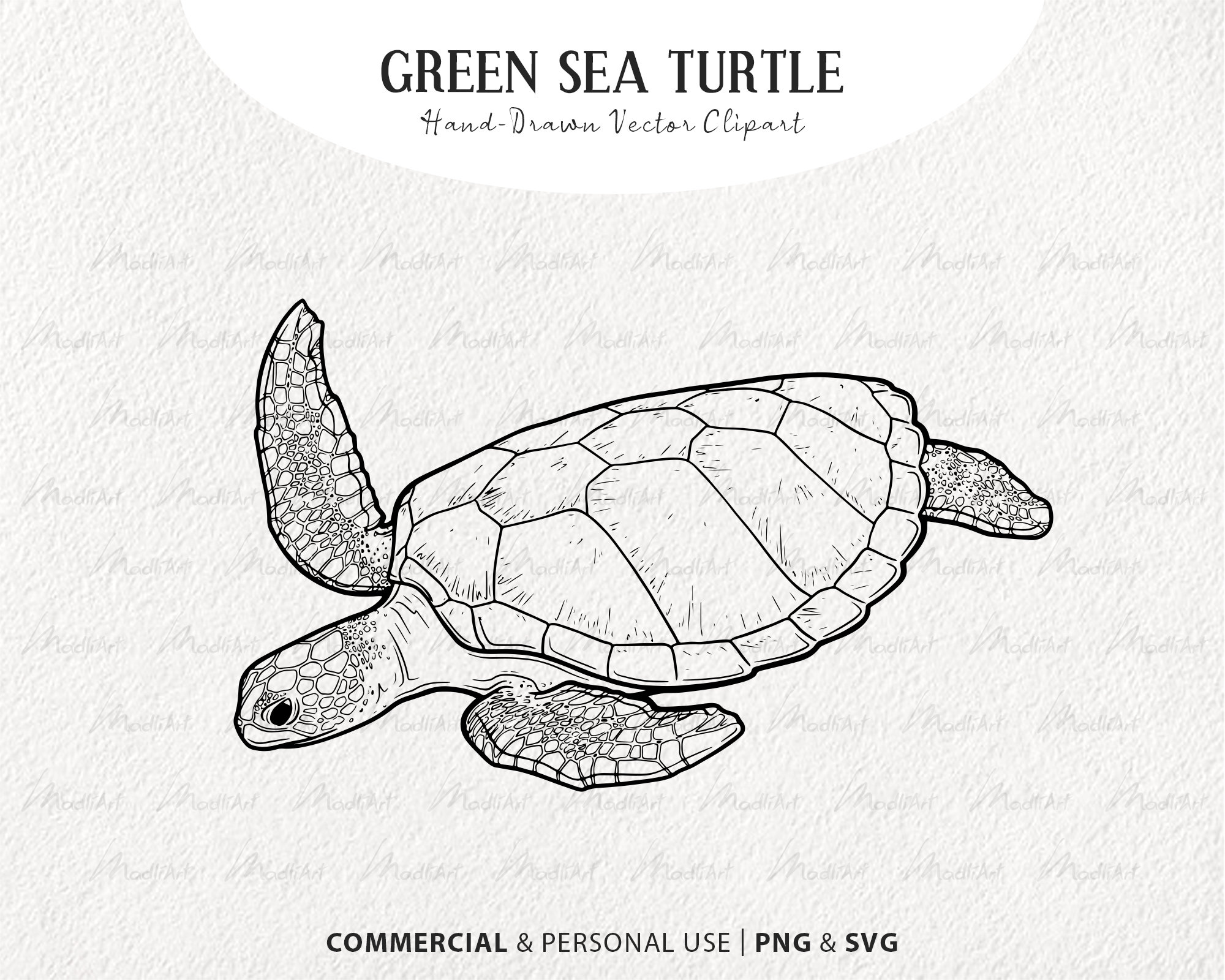 Green Sea Turtle SVG Clip Art. Sea Turtle Vector Line Art. Sea Animal ...