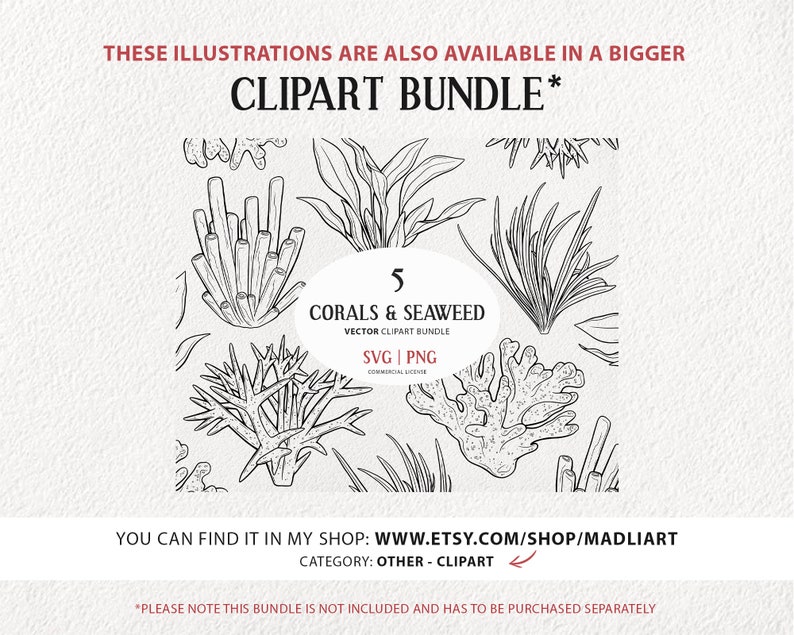 Seaweed Vector Clipart. Ocean Plant Line Art. Coral Reef - Etsy