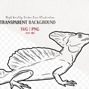 Green Basilisk SVG Clipart. Dragon Lizard Vector Drawing. Lizard Line ...