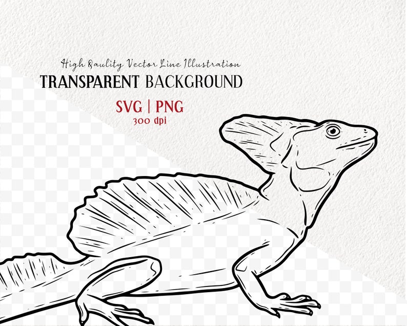 Green Basilisk SVG Clipart. Dragon Lizard Vector Drawing. Lizard Line ...