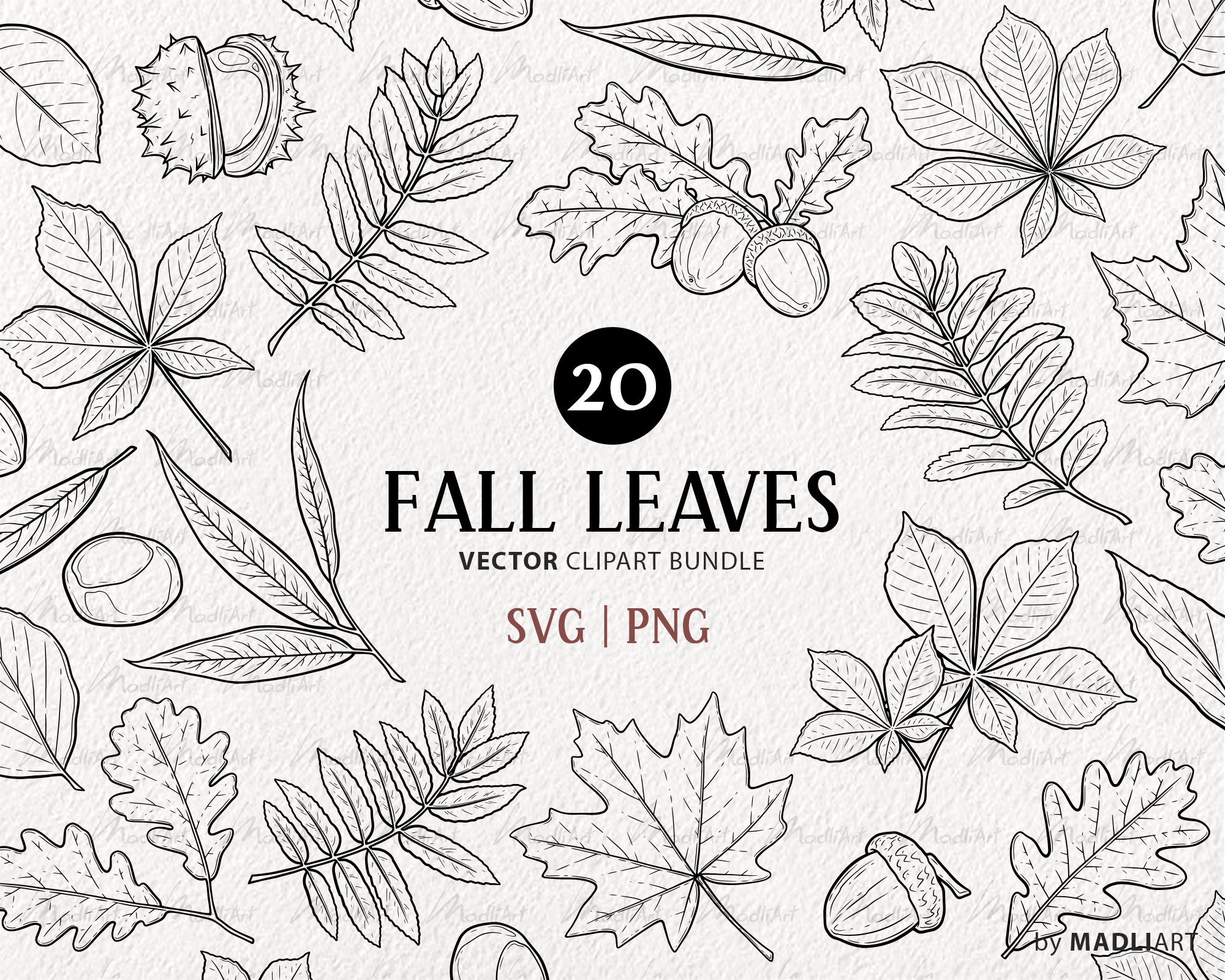 Autumn Leaves Vector Black And White