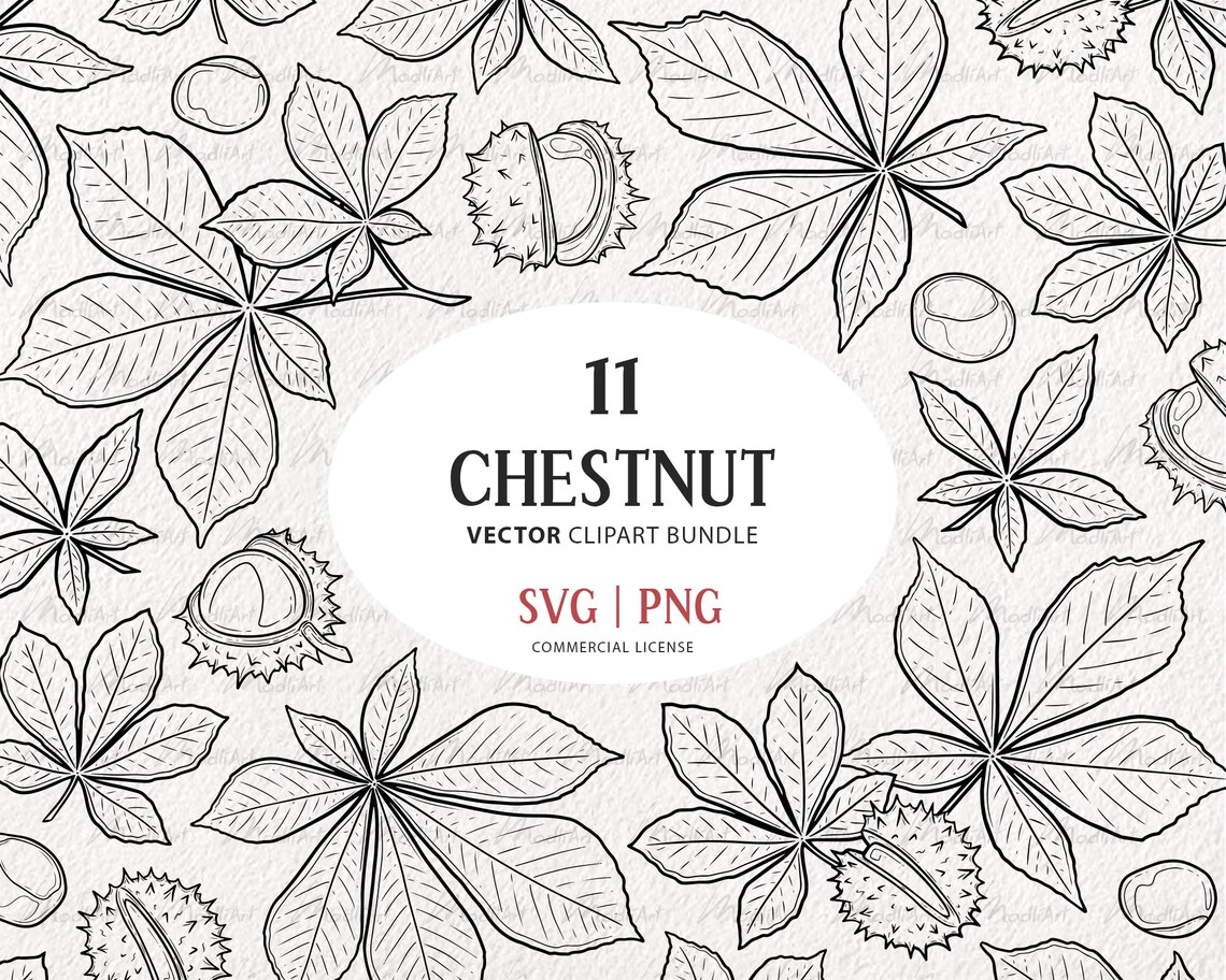 Chestnut Clipart Bundle. 11 Vector Autumn Elements. Fall - Etsy