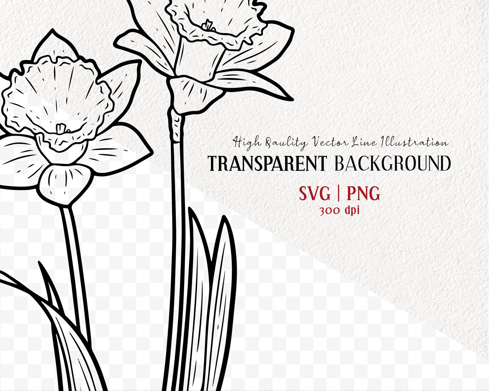 Daffodil SVG Clipart. Spring Daffodil Vector Blossom. Daffodil Flower ...