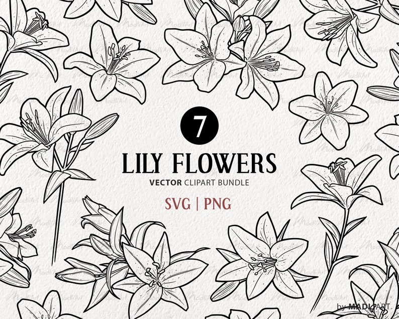 7 Lily Flower SVG Clipart Bundle. Tiger Lily Blossoms. Flower Bouquet ...