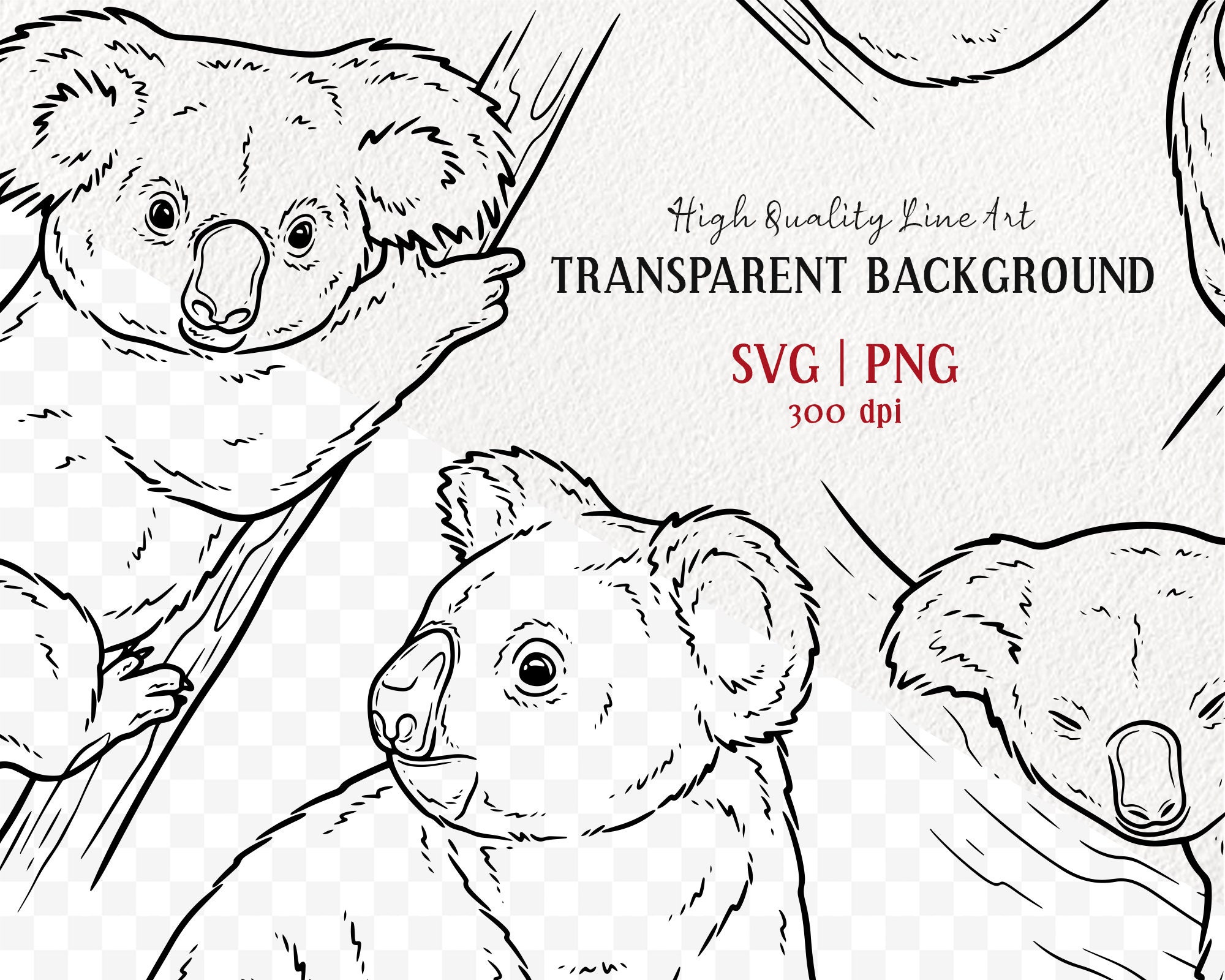 Koala Bear Vector Clipart Bundle. Cute Koala Outline Illustrations ...