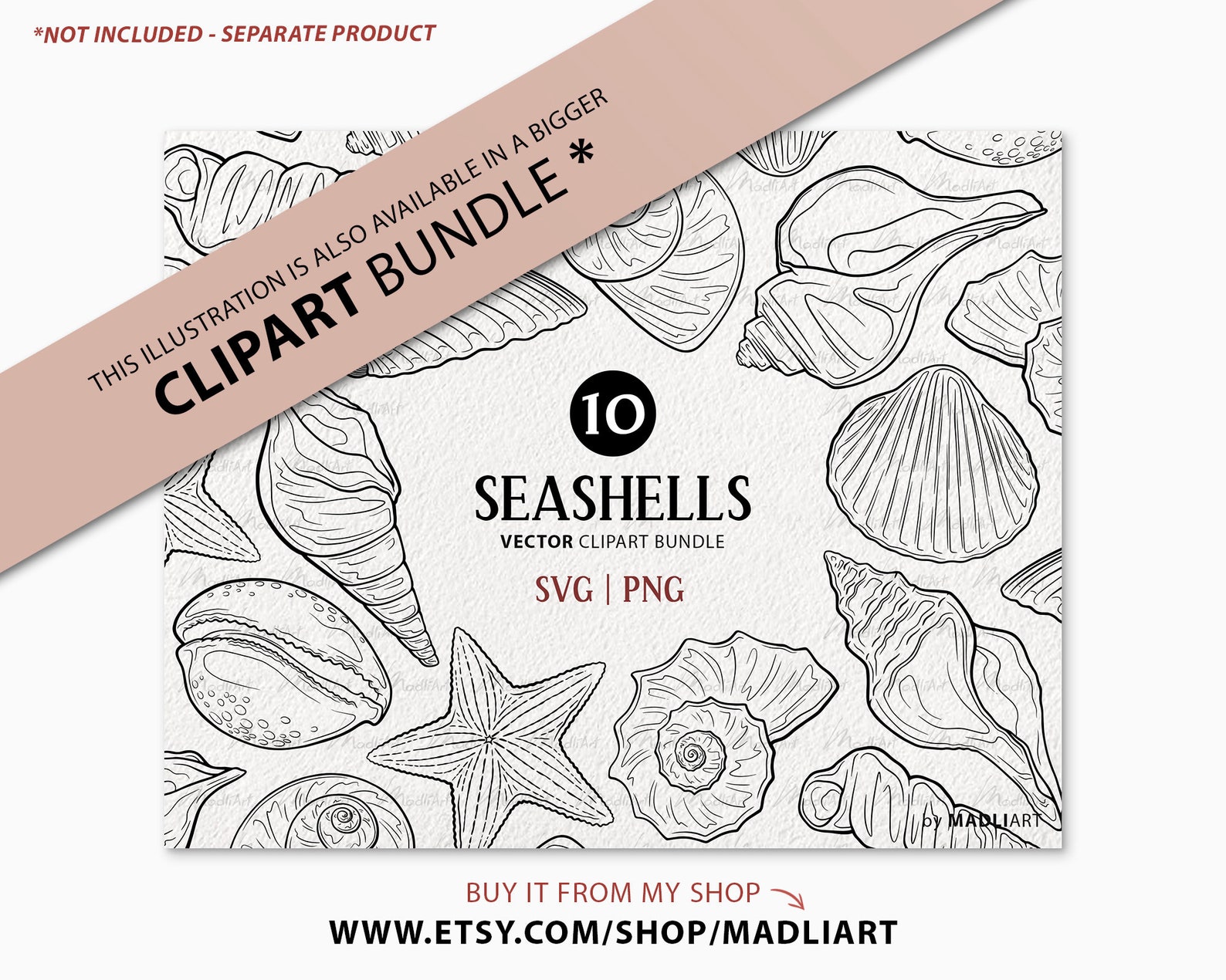 Seashell SVG Clipart. Ocean Themed Vector Line Drawing. Nautical Ocean ...