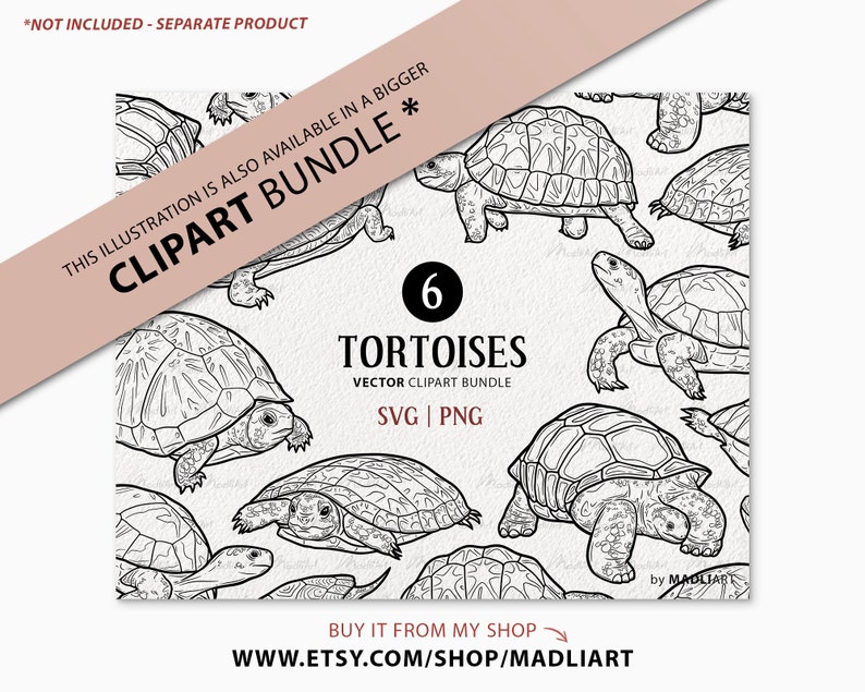 Pancake Tortoise SVG Clipart. Land Turtle Vector Artwork. Cute Turtle ...