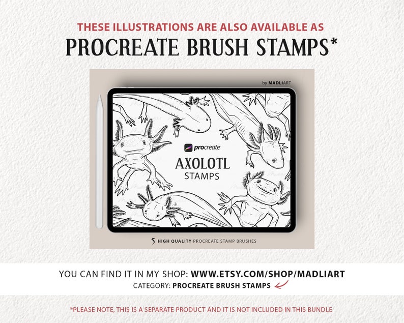 Axolotl Clipart Bundle. Salamander Vector Art. 5 Sea Creatures - Etsy