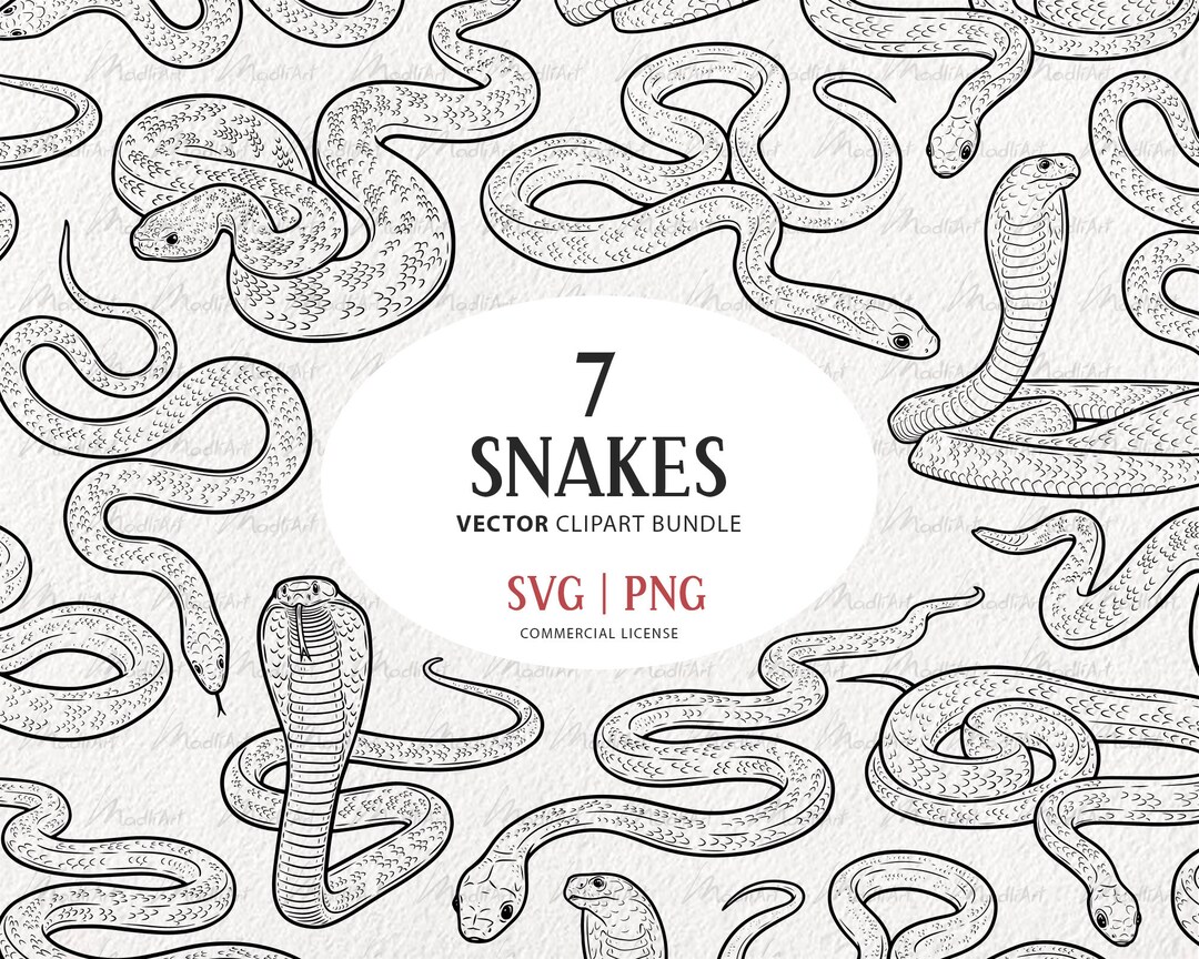 7 Snakes SVG Clipart Bundle. Cobra Vector Drawings. - Etsy