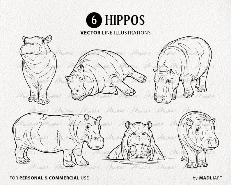 6 Hippos SVG Clipart Bundle. Hippopotamus Vector Drawings. Baby Hippo ...