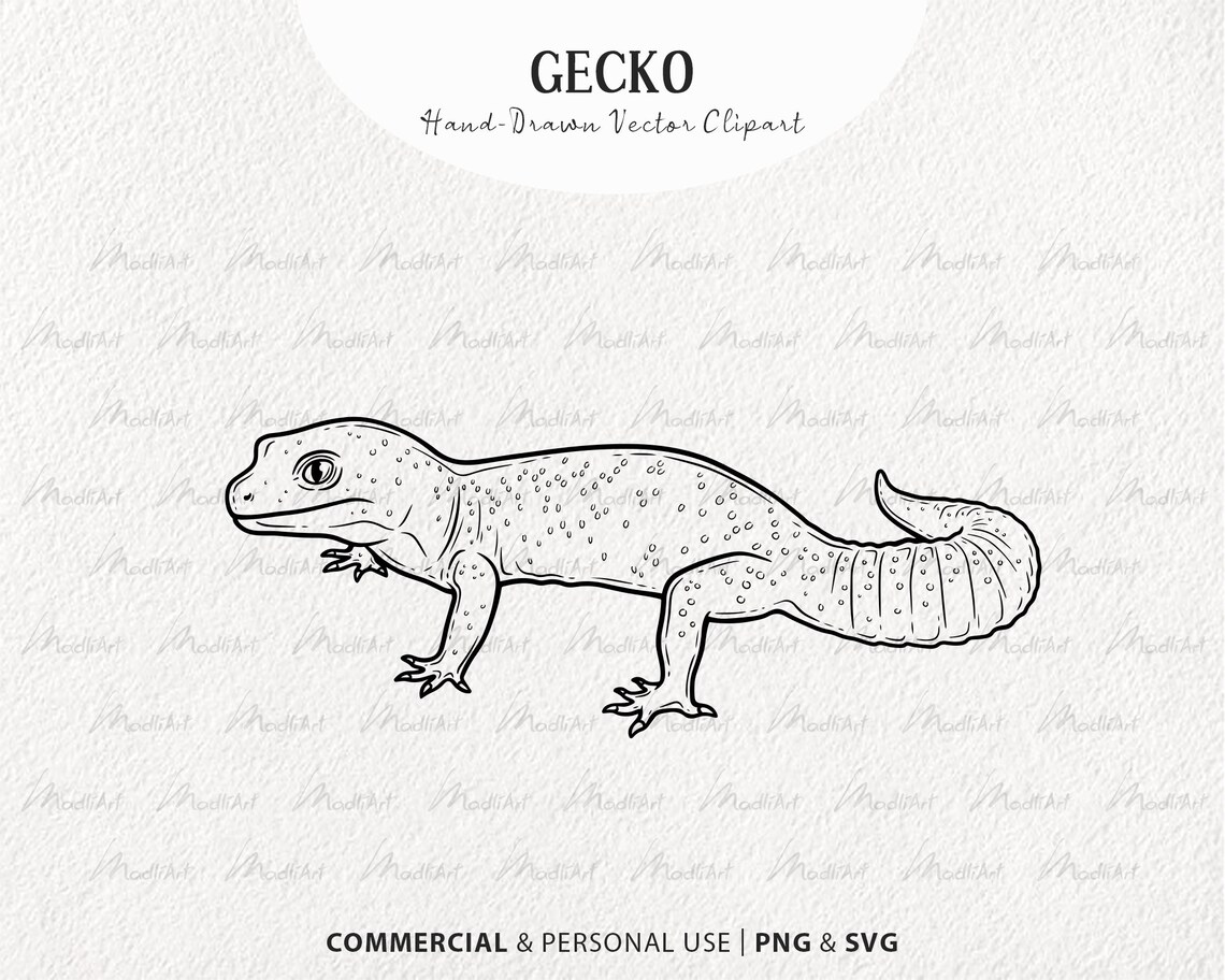 Gecko SVG Clipart. Lizard Vector Drawing. Leopard Gecko - Etsy