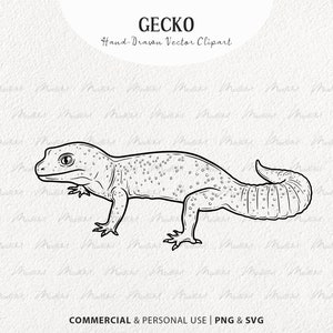 Gecko SVG Clipart. Lizard Vector Drawing. Leopard Gecko, Crested Gecko ...