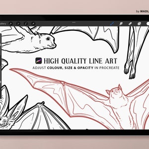 6 Procreate Bat Stamps. Fruit Bat Tattoo Design. Flying Fox - Etsy