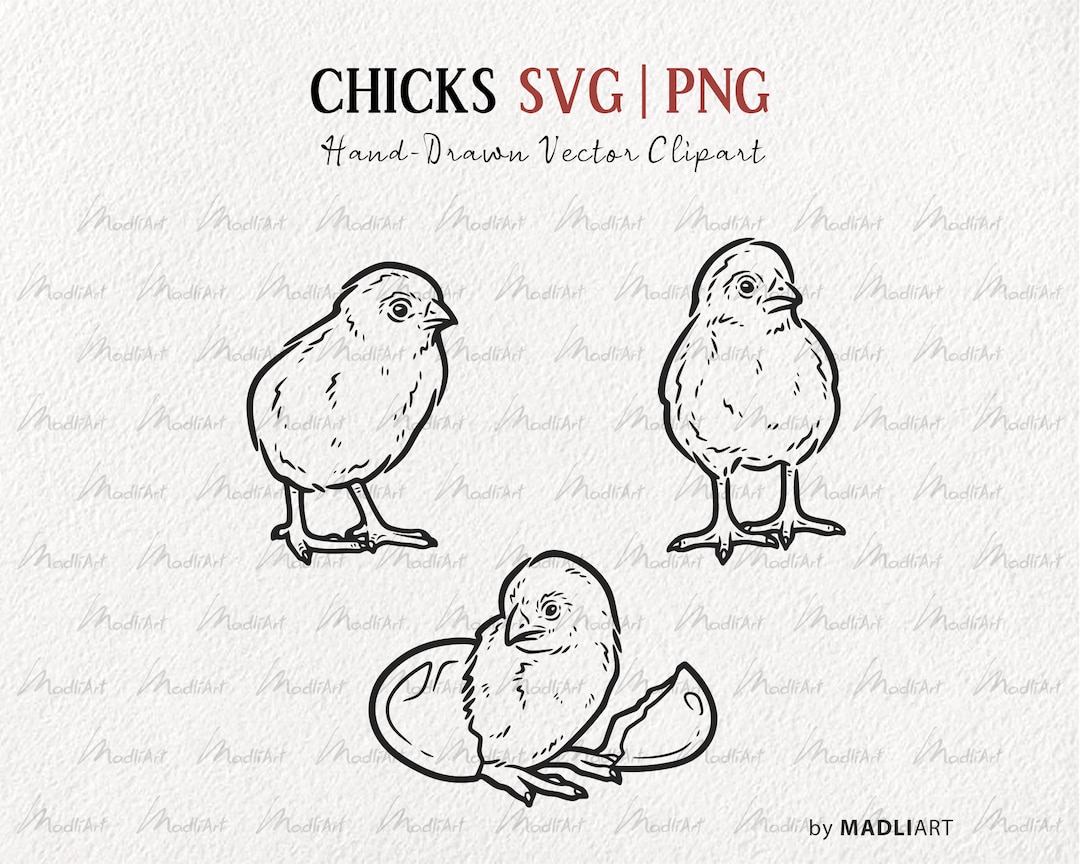 Chicks SVG Clipart. Chicken Vector Art. Hatching Chick Outline Drawing ...