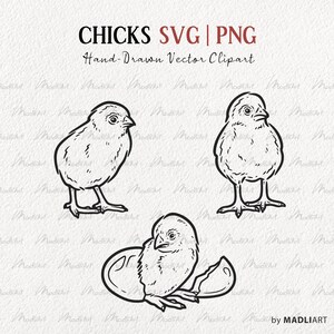 Chicks SVG Clipart. Chicken Vector Art. Hatching Chick Outline Drawing ...