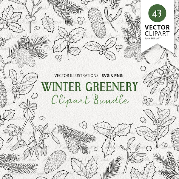 Winter Greenery Clipart - Etsy