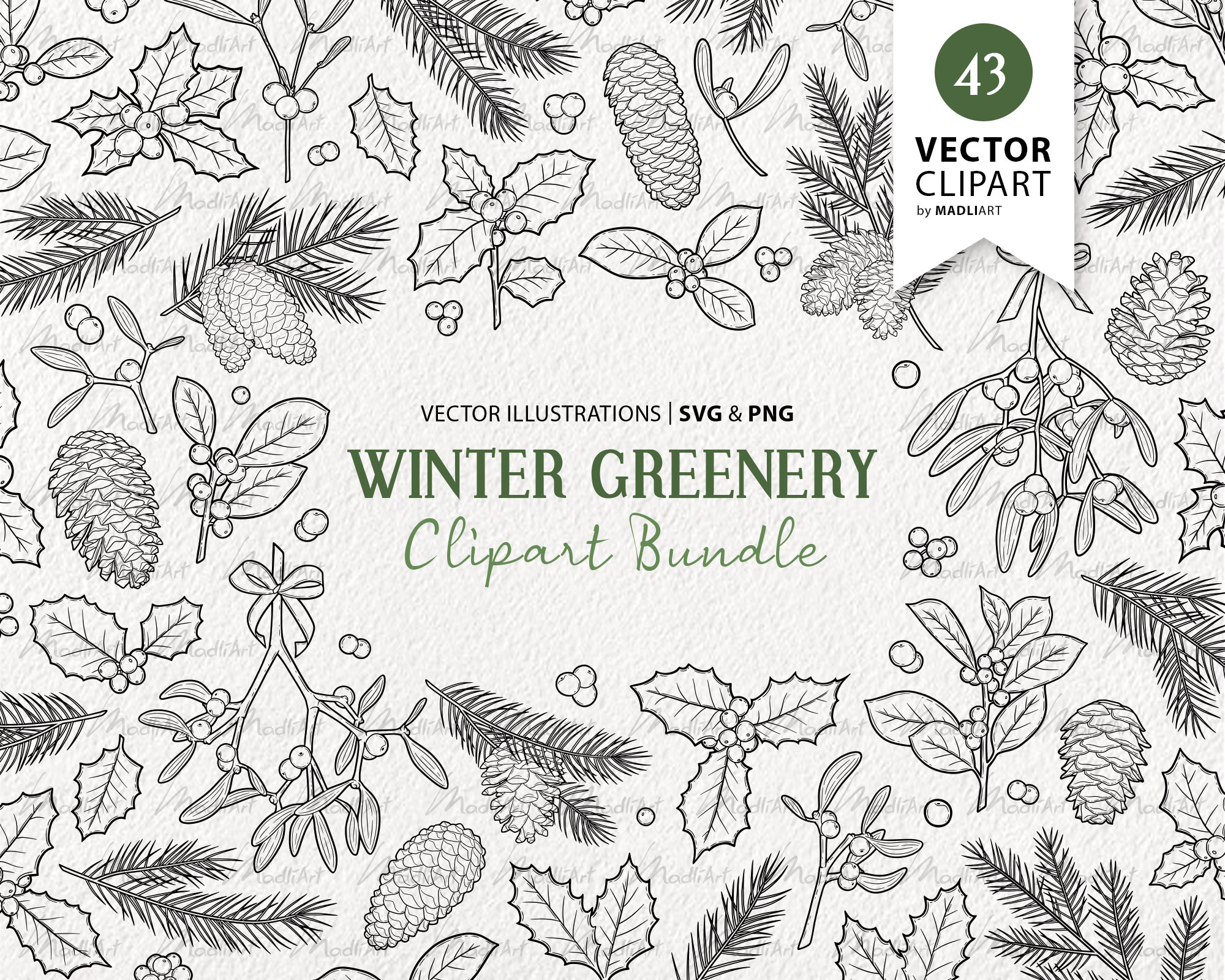 43 Winter Greenery Vector Clipart Bundle. Christmas Evergreen Plants ...